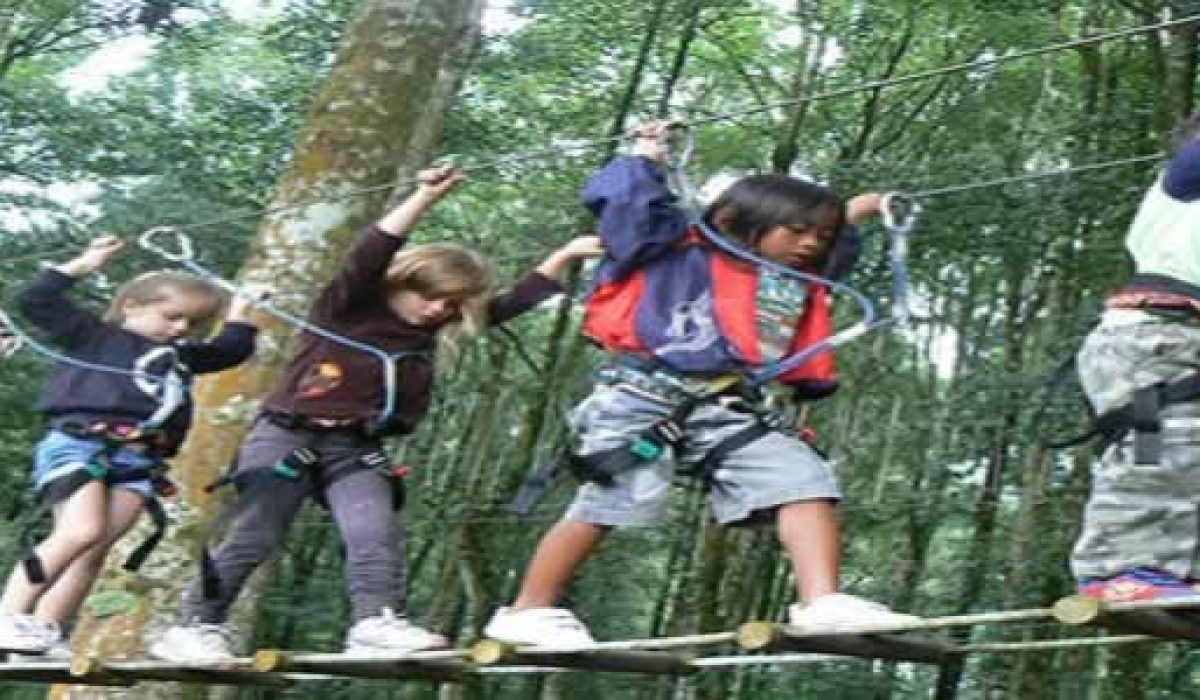 Bali Treetop Adventure Park – A1 Bali Tour
